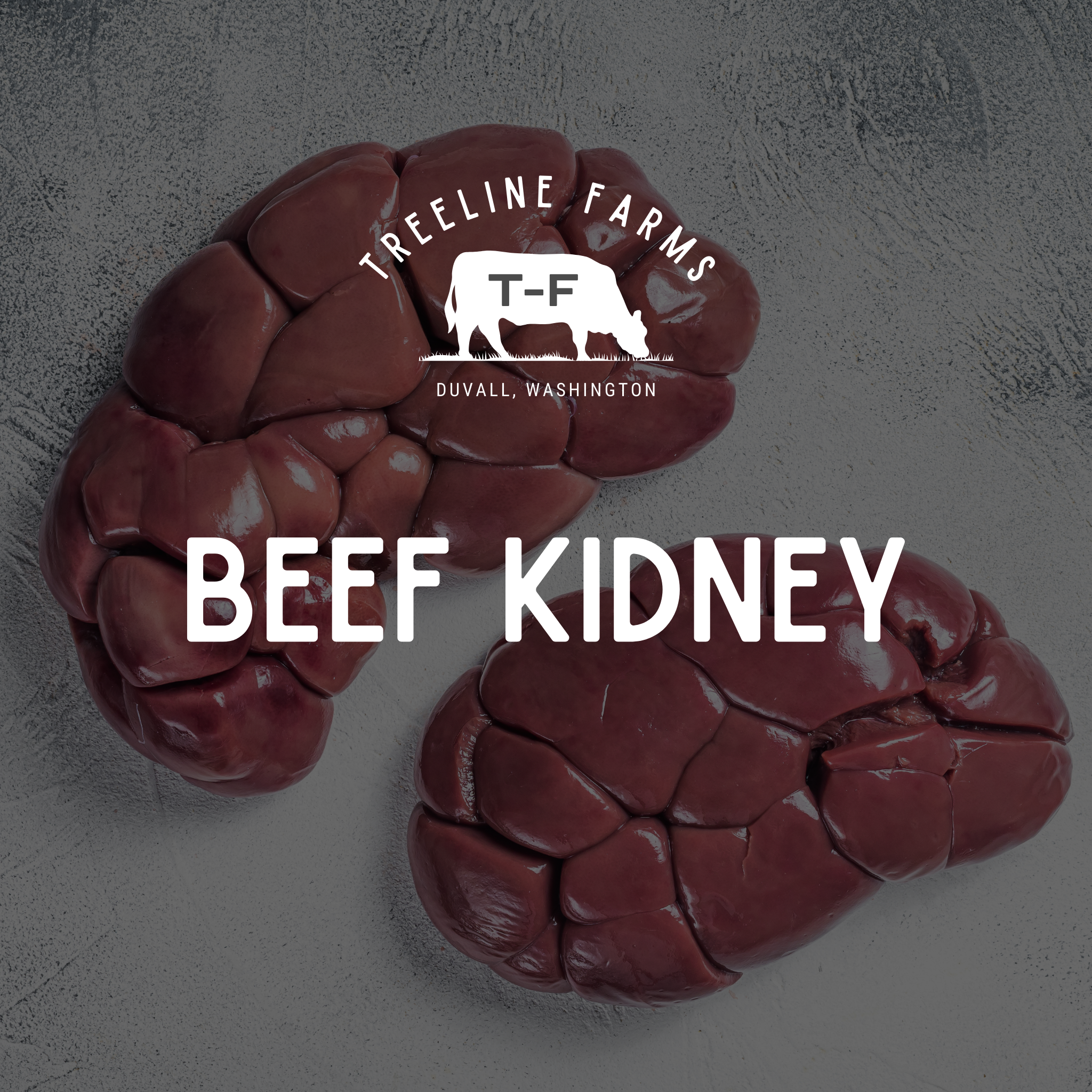 Beef Kidney – Treeline Farms